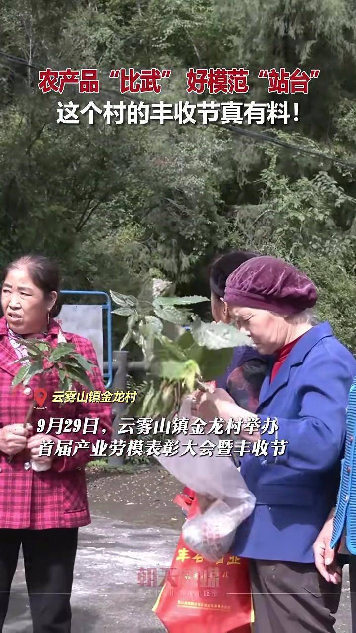 9月29日,云雾山镇金龙村举办首届产业劳模表彰大会暨丰收节。#丰收...