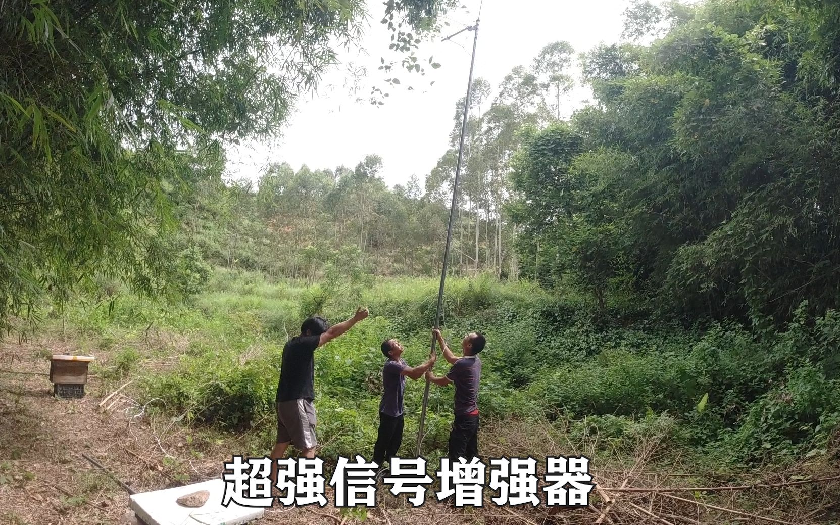 实测信号增强器,没想到买了个忽悠人的玩意!