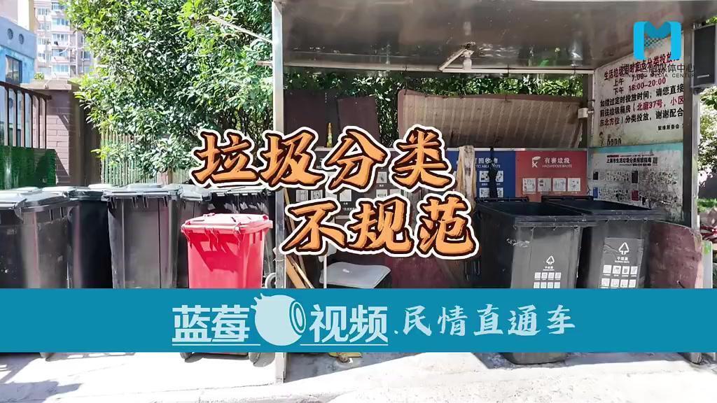 #民情直通车小区垃圾分类投放和管理不规范#上海闵行