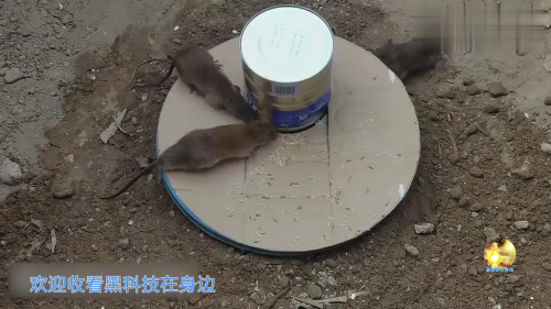 娱乐性实用性俱佳的3种自制神器!恕我直言,人类就是聪明