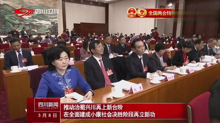 四川代表团举行全体会议专题学习贯彻习近平总书记重要讲话精神
