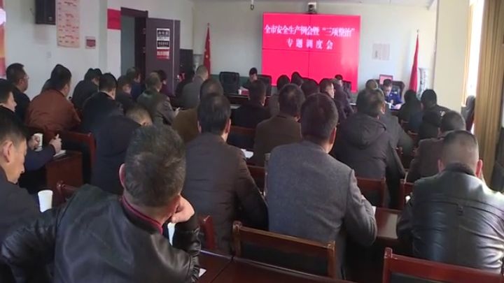 乐平市安全生产例会暨“三项整治”专题调研会召开