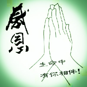 广德娱乐音视 