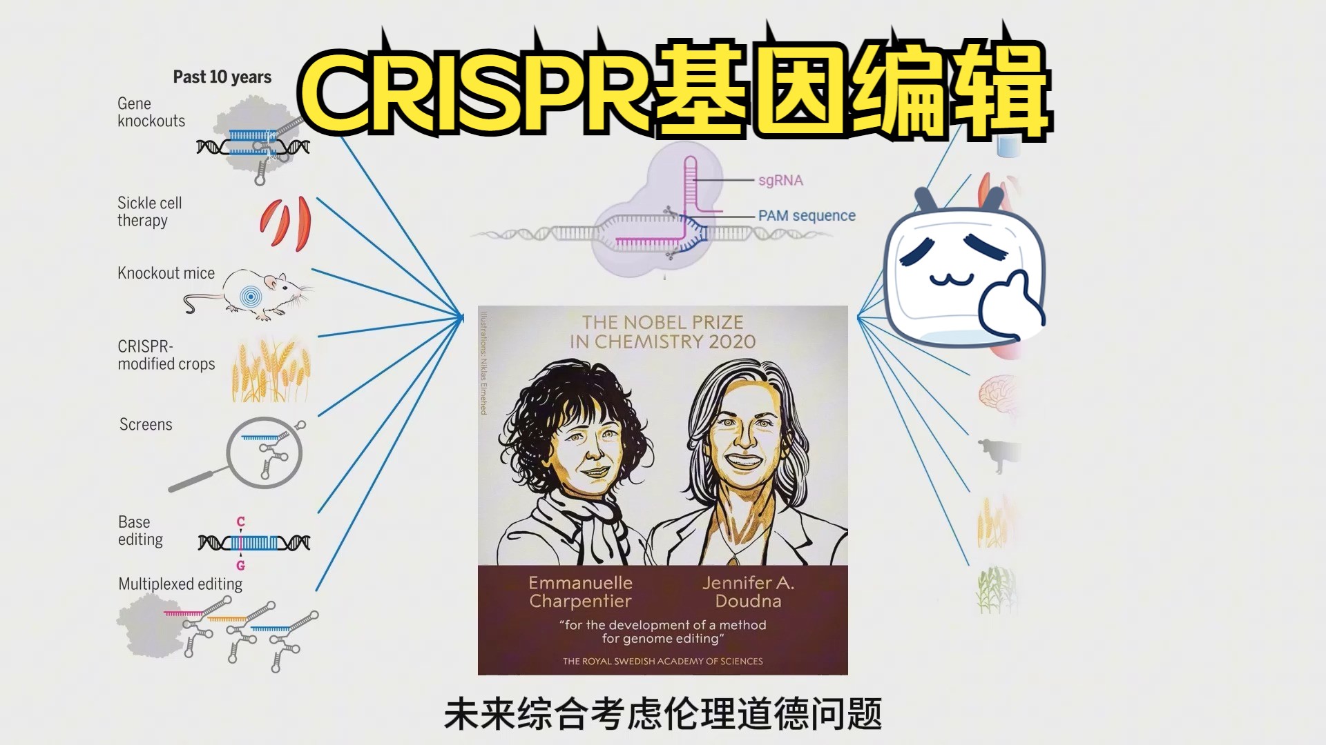 获得诺贝尔奖的CRISPR基因编辑技术是什么?