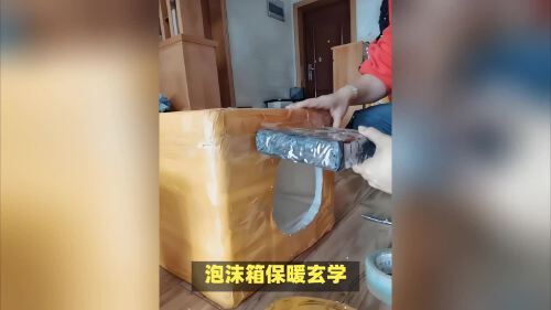 寒冬必备!泡沫箱DIY猫窝实测,保暖效果超乎想象!