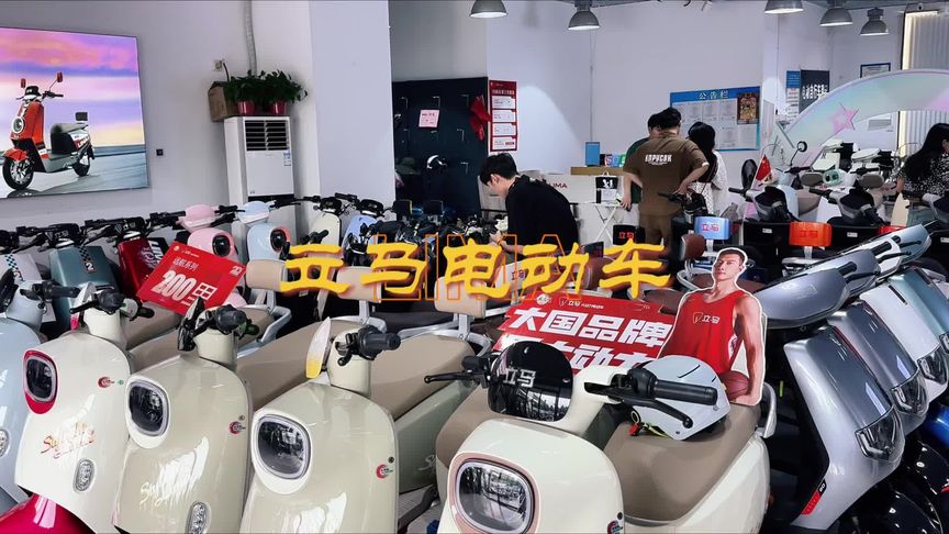 花上2000多安排了一辆巨能跑的电动车～#立马电动车 #电动车