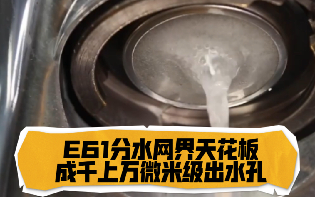 IMS MATRIX E61分水网 多层微米级毛细孔板设计 成千上万个小孔均匀...