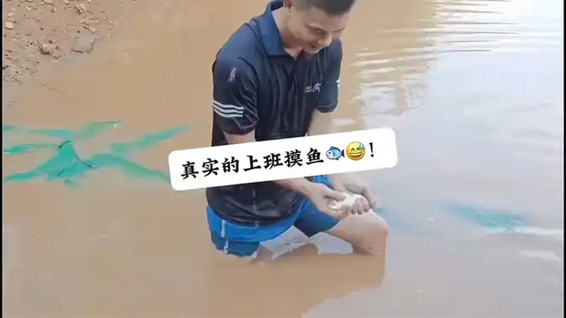 真正的上班摸鱼,一个多月抽干的百亩鱼塘,上不上鱼无所谓,主要