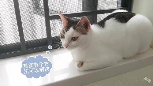在路由器上放块它,手机和电脑无线信号立马满格,实用又省钱
