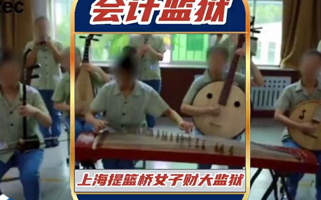 会计专业果然是师傅领进门,入狱判刑靠个人!