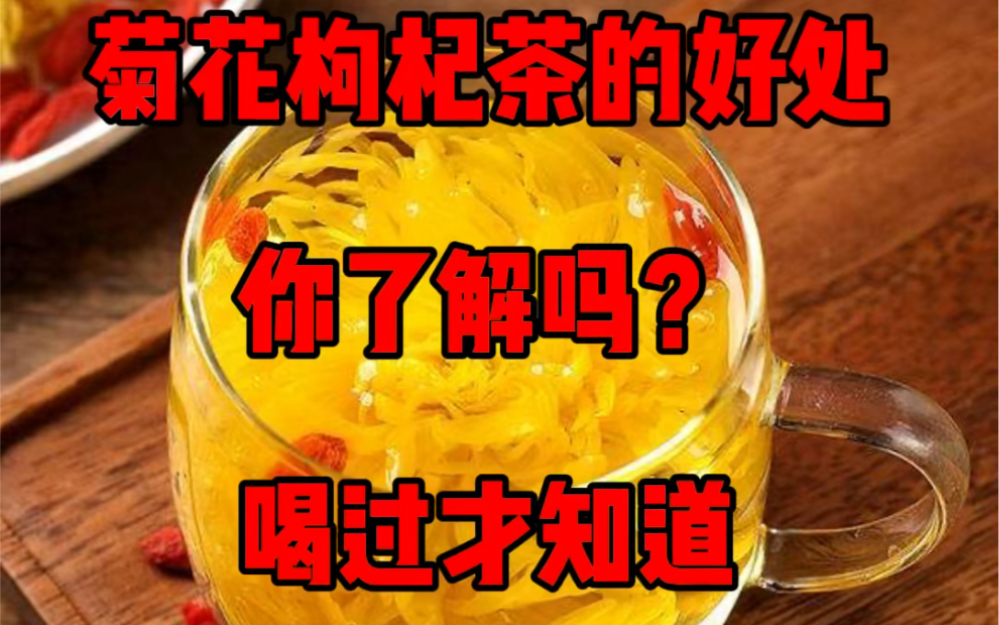 菊花枸杞茶的好处你了解吗?喝过才知道菊花枸杞茶有多好