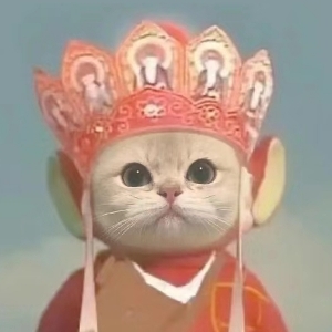 考拉爱政治 