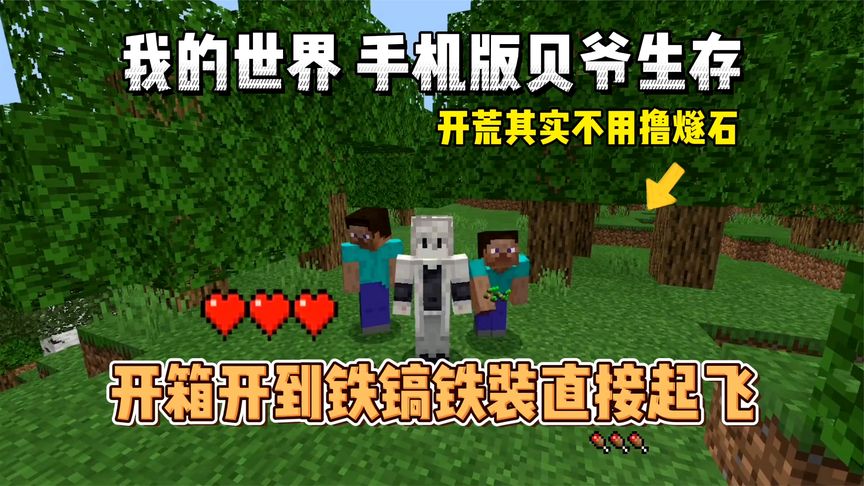 我的世界贝爷生存:开局不挖碎石,获得铁镐铁套教程!