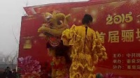 2015幸福紫金湾首届骊城之春传统文化庙会开幕式节目《舞狮》表演