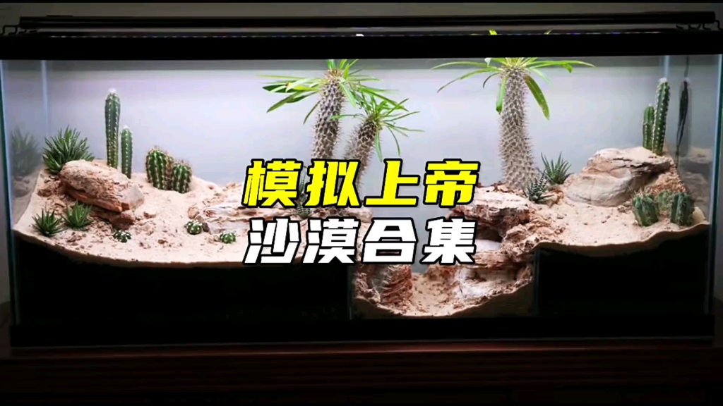 一口气看完所有的沙漠生态系统#上帝模拟器