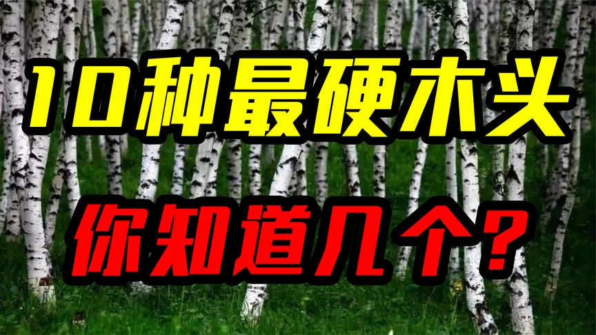 世界上10种最硬木头,你知道几个?紫光檀垫底,第一是钢铁2倍!
