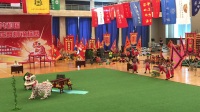 中华人民共和国第十届大学生舞龙舞狮锦标赛甲组传统南狮比赛