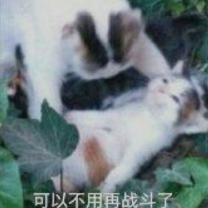 恐怖有机物叉西 