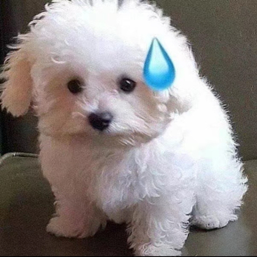 鹿瞳子 