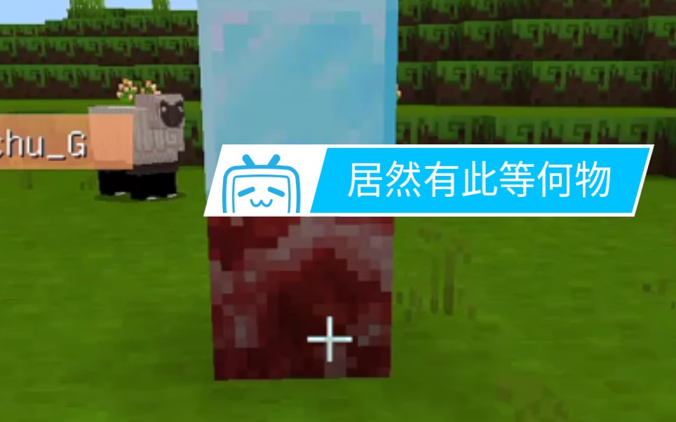 〖我的世界多人生存〗原来这才是细菌模组的正确打开方式!