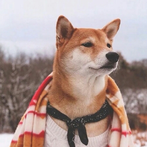 小寒仙 