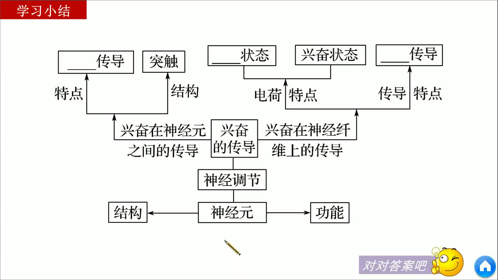 神经调节难点剖析——兴奋与电流表指针偏转问题