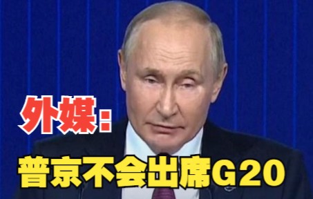外媒:普京将不会出席G20峰会