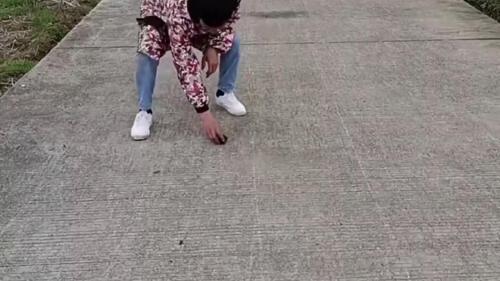 农村小伙在路上画的立体画垃圾桶,很难分辨真假,村里人都来这丢垃圾!