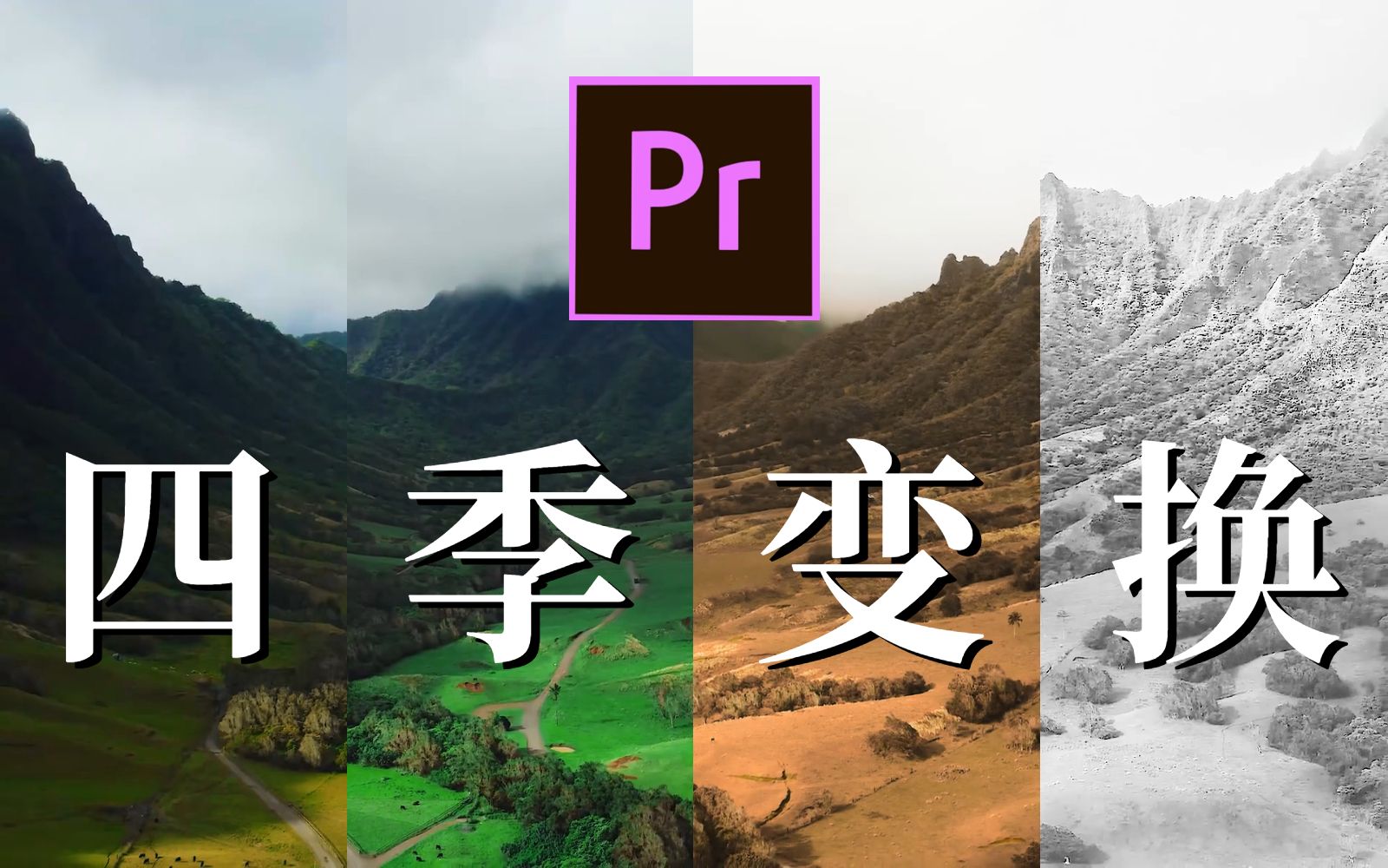 【PR教程】如何在PR中做出四季变换效果?三分钟搞定!
