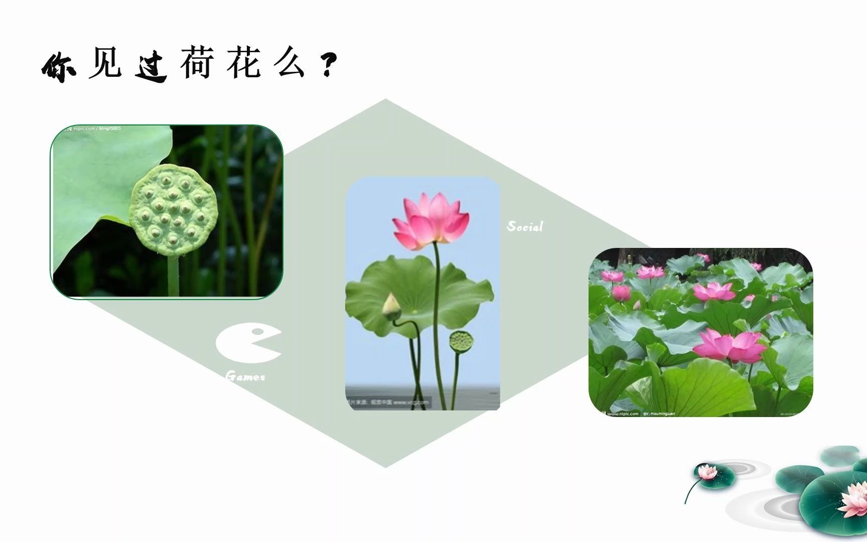 微课堂 大班艺术《水墨荷花》写意中国幼儿园大班艺术领域活动