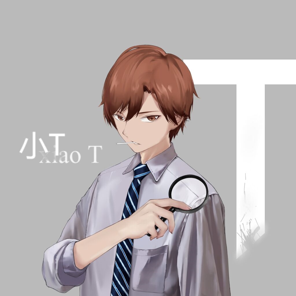 疾风小T 