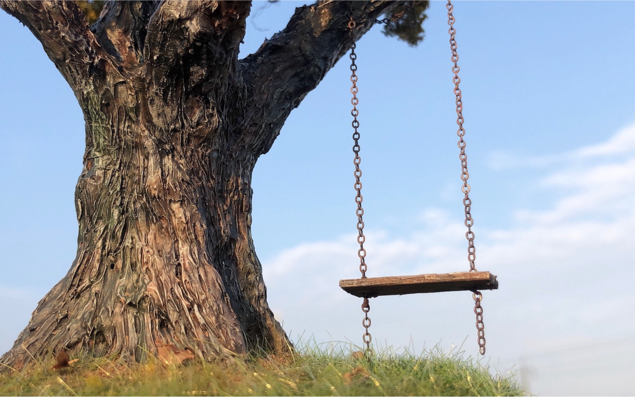 微缩场景模型 如何制作一棵树 取之于树用之于树