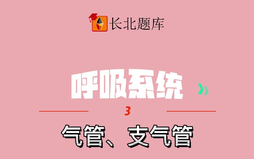 呼吸系统☞气管、支气管