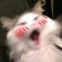 橘橘猪猪吼 