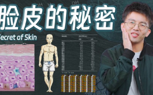 脸皮的秘密是什么?