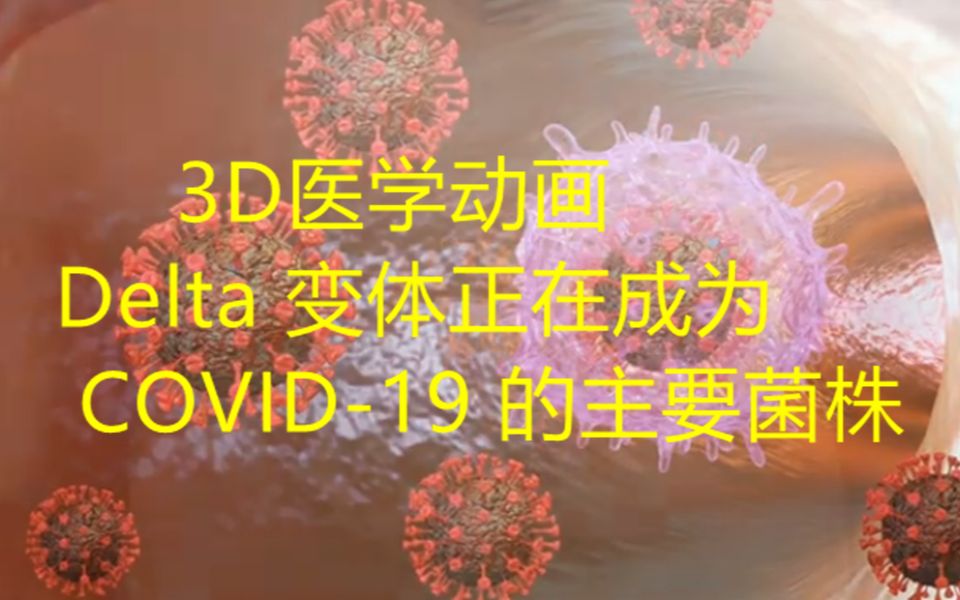 Delta 变体正在成为 COVID-19 的主要菌株-3D医学动画科普