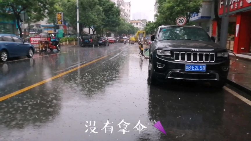 下雨天也要出去外面溜,停雨了马路边发现几只小动物,你想知道吗