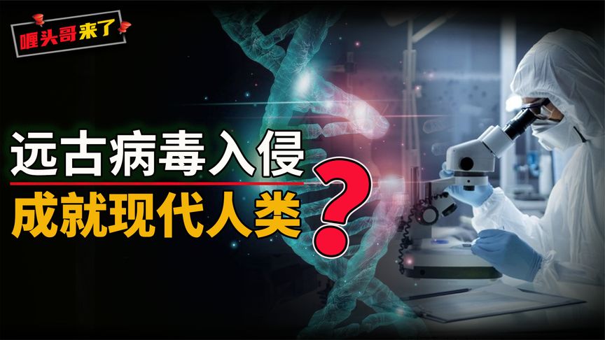 人体中的Arc是什么?为什么说人类的智慧,或许拜病毒入侵所赐?