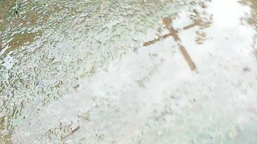 荒野求生第一集:之前发的那个是教程