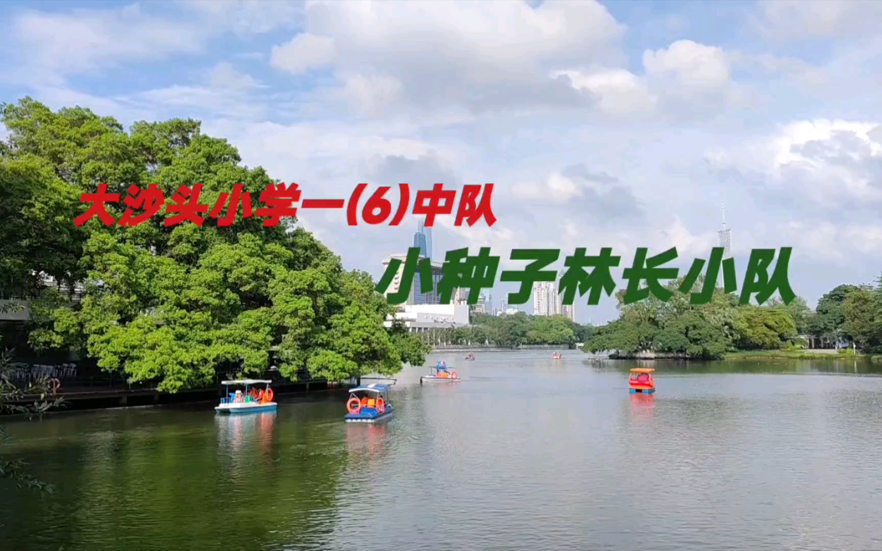 小学生林长制活动,小种子林长小队,大沙头小学一(6)中队