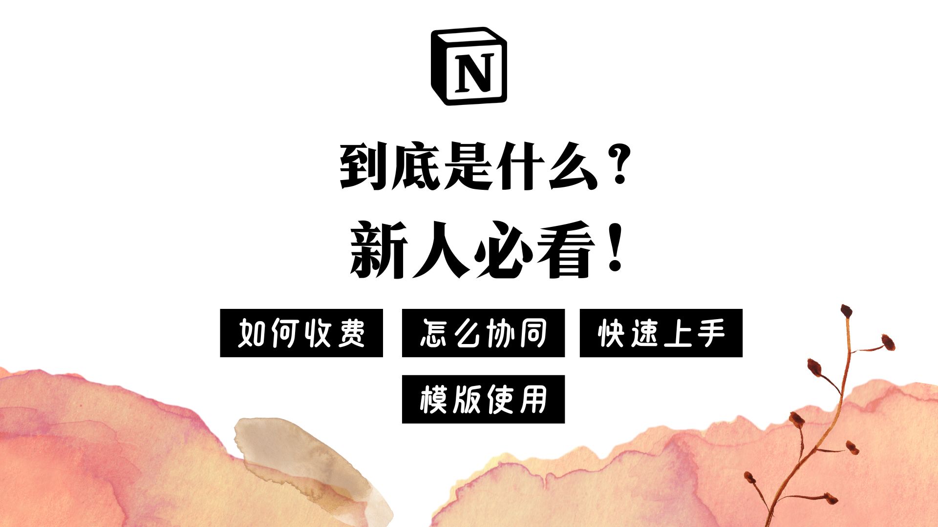 Notion到底是什么?新人必入 解决你的一切问题 收费|协同|上手|模版