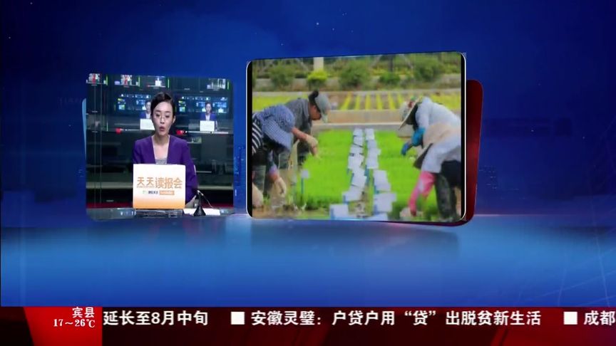 海水稻距离推广有多远:经品种审定后才具备大规模推广资质