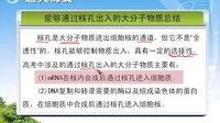 [天星学堂]高考冲刺必考点——能够通过核孔出入的大分子物质总结