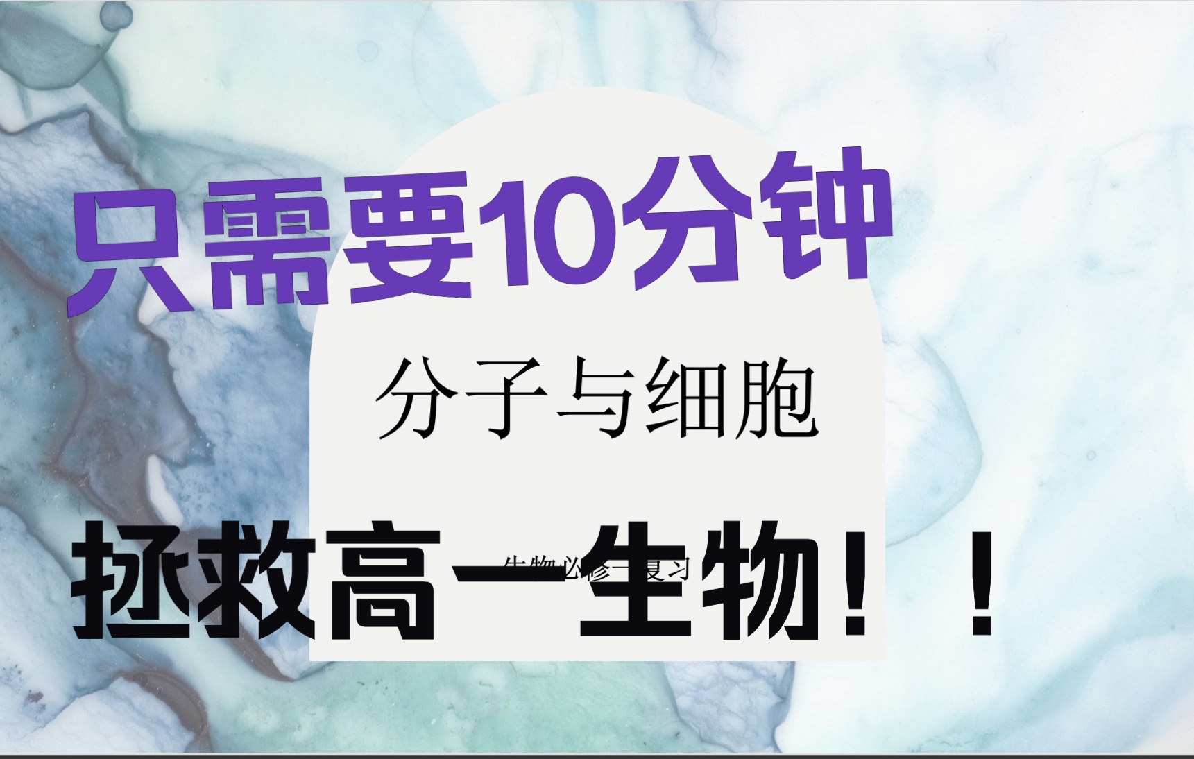 高一必修一生物分子与细胞期末冲刺复习——细胞学说 细胞中的元素...