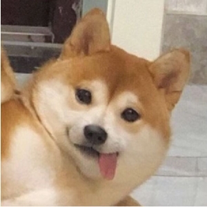 任工智能-_- 