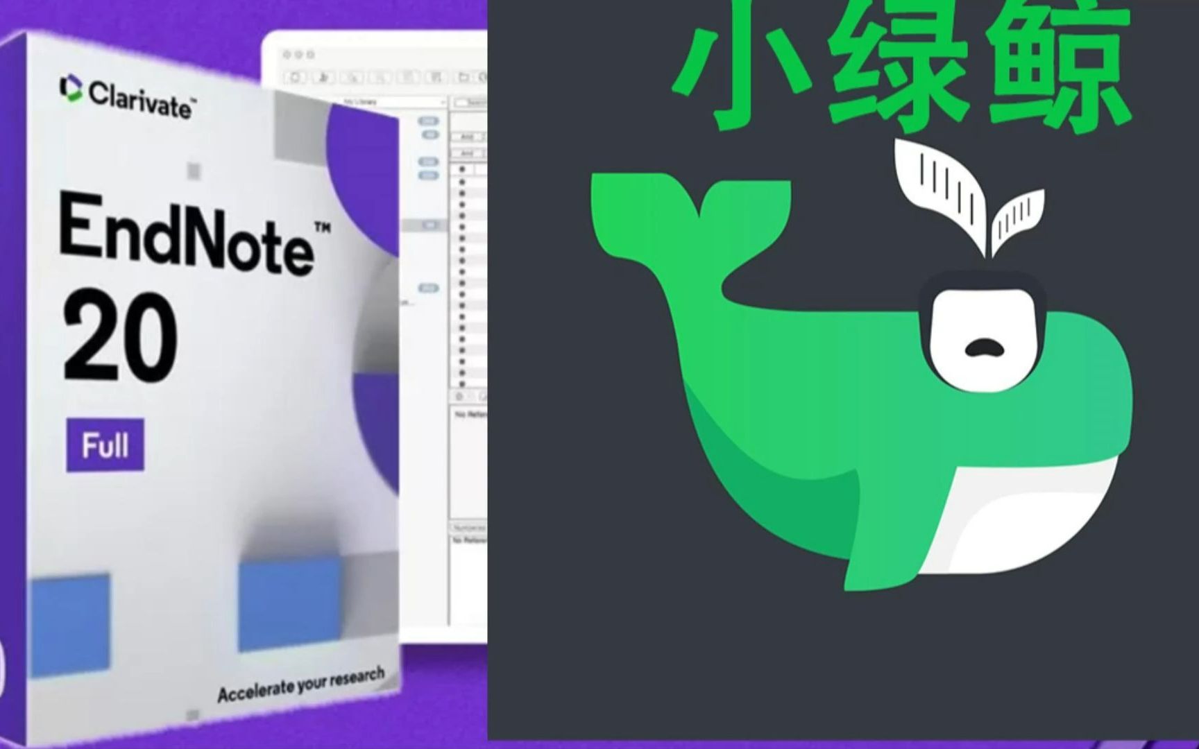 Endnote文献管理与小绿鲸文献翻译联用-YYDS