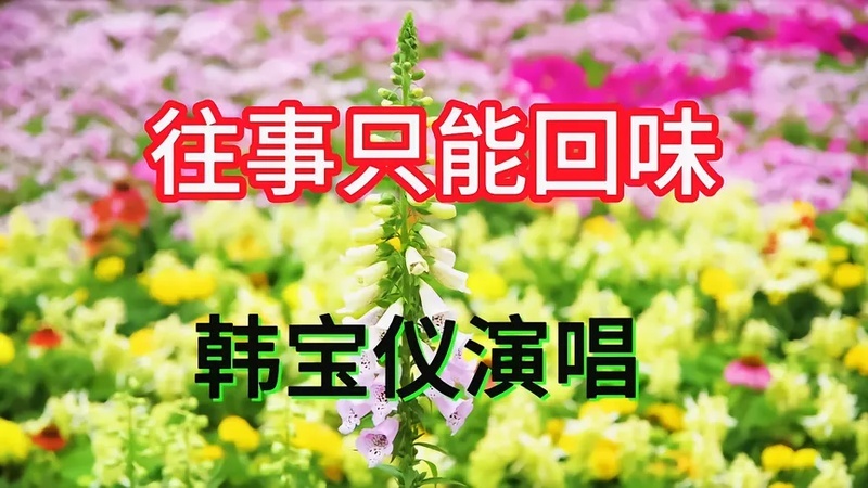韩宝仪演唱《往事只能回味》,甜美的歌声,回味无穷