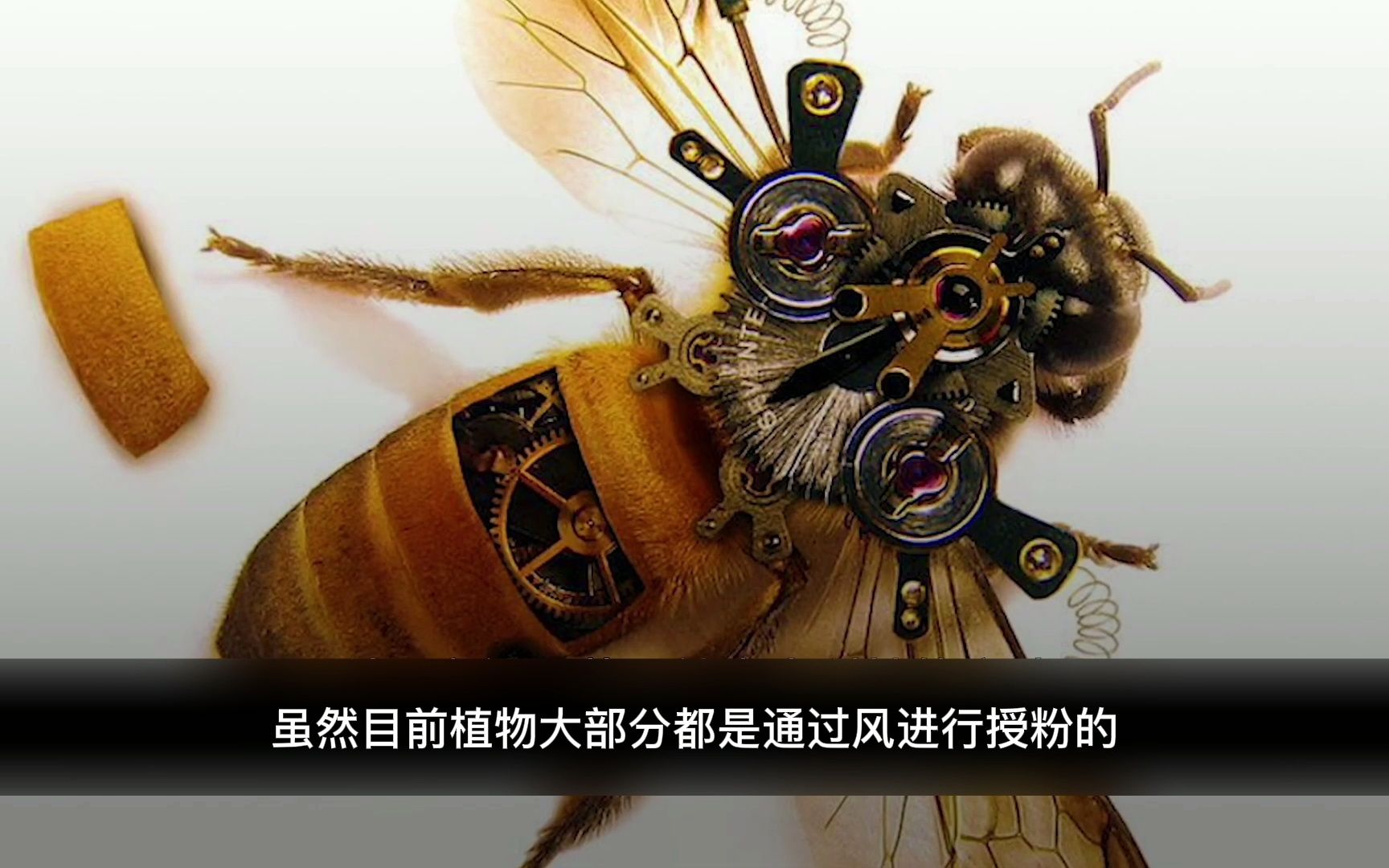 如果蜜蜂全部消失了,世界会怎么样?