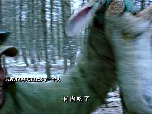 "国共又一次合作"aaa