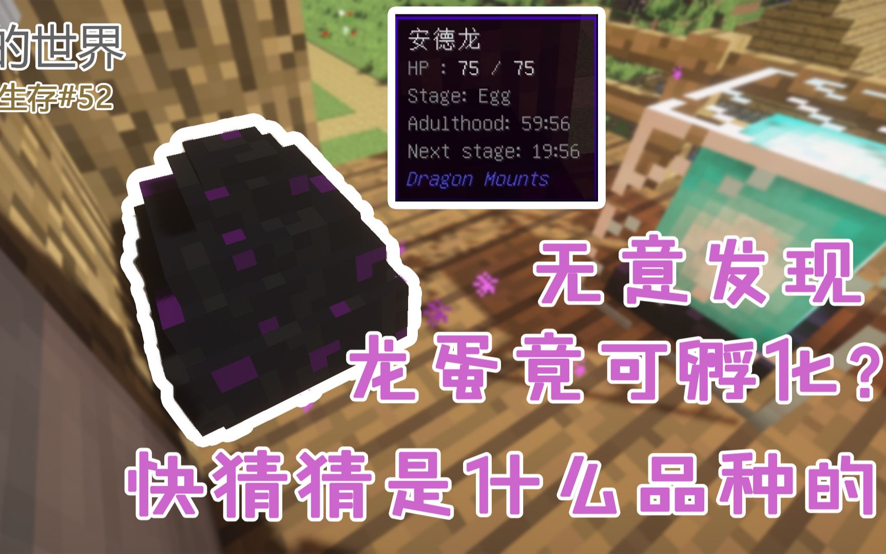 我的世界生存52:得到战利品龙蛋,带回家孵化!会获得什么龙呢?